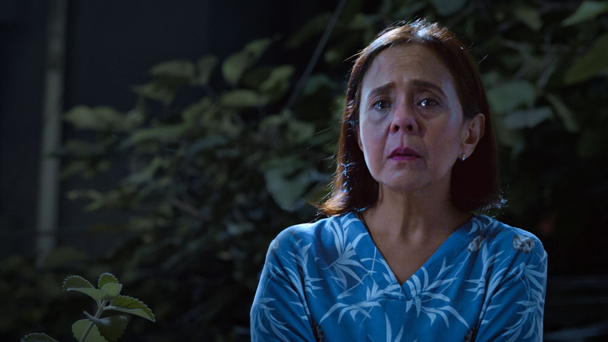 This Dolly de Leon, Zanjoe Marudo, and Elijah Canlas Starrer is the ...